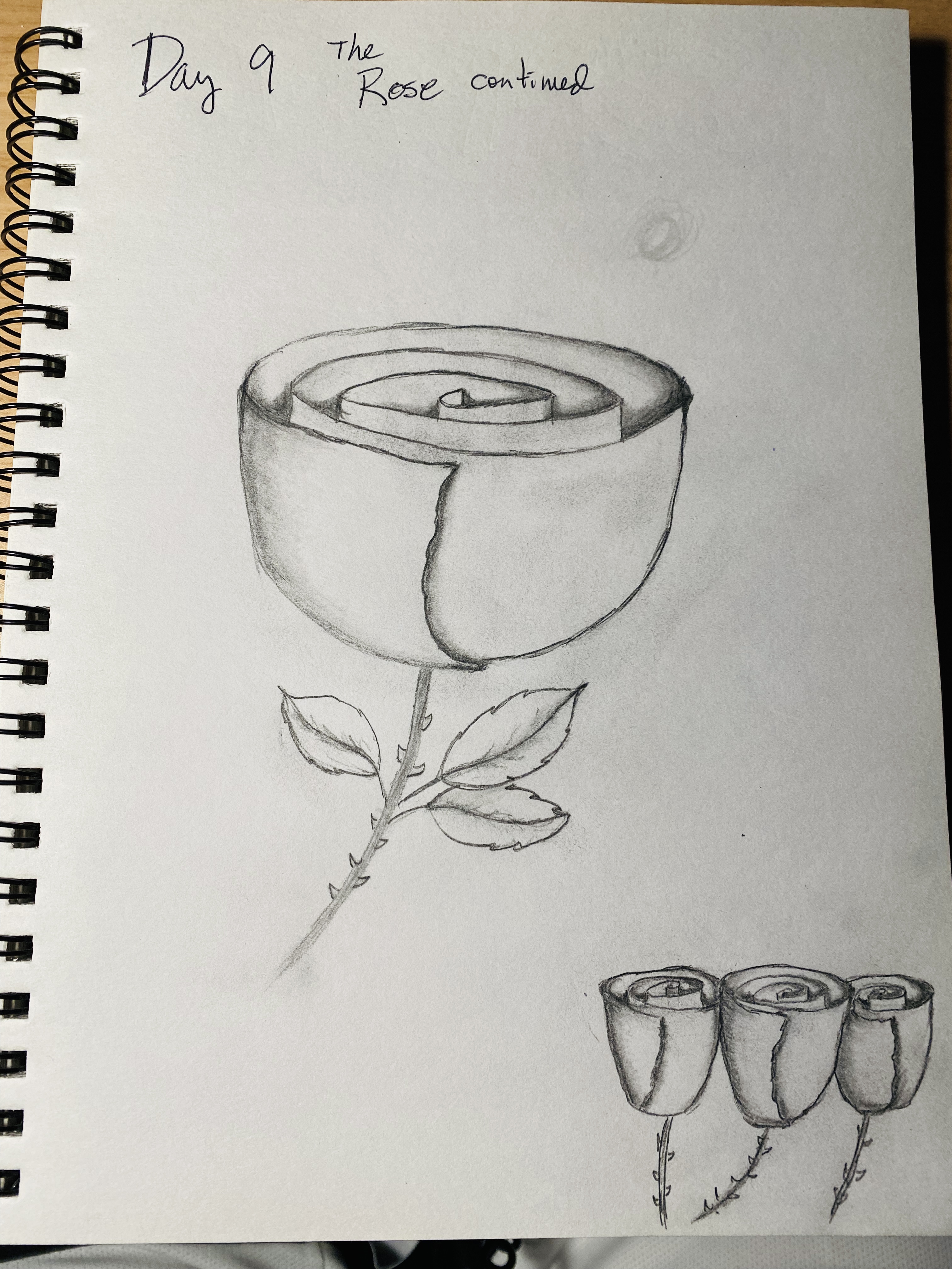 30-day-drawing-day9b | Retirement Ain't Easy
